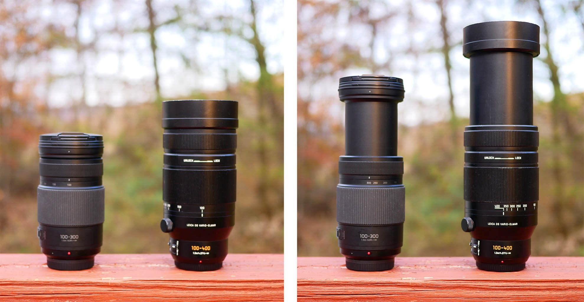 Real World Comparison of Lumix 100-300 vs 100-400mm Lens – Camera and a ...